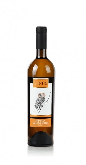 2021 Vicus Falanghina Irpinia DOC – Seelbach's