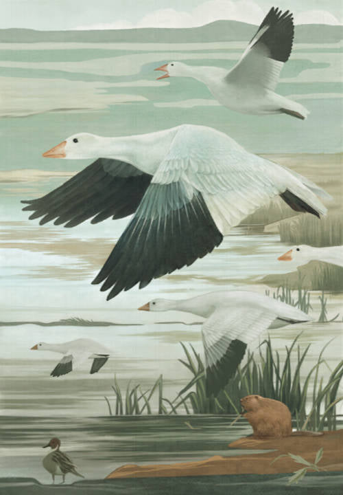 Golden Beaver Distillery Pacific Flyway Bourbon Whiskey – Seelbach's